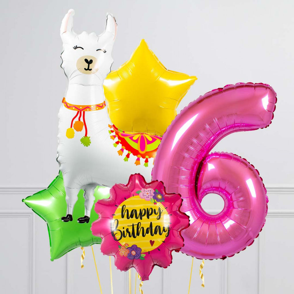 Llama Birthday Balloons Delivered | Balloonfactory.ie – BalloonFactory.ie